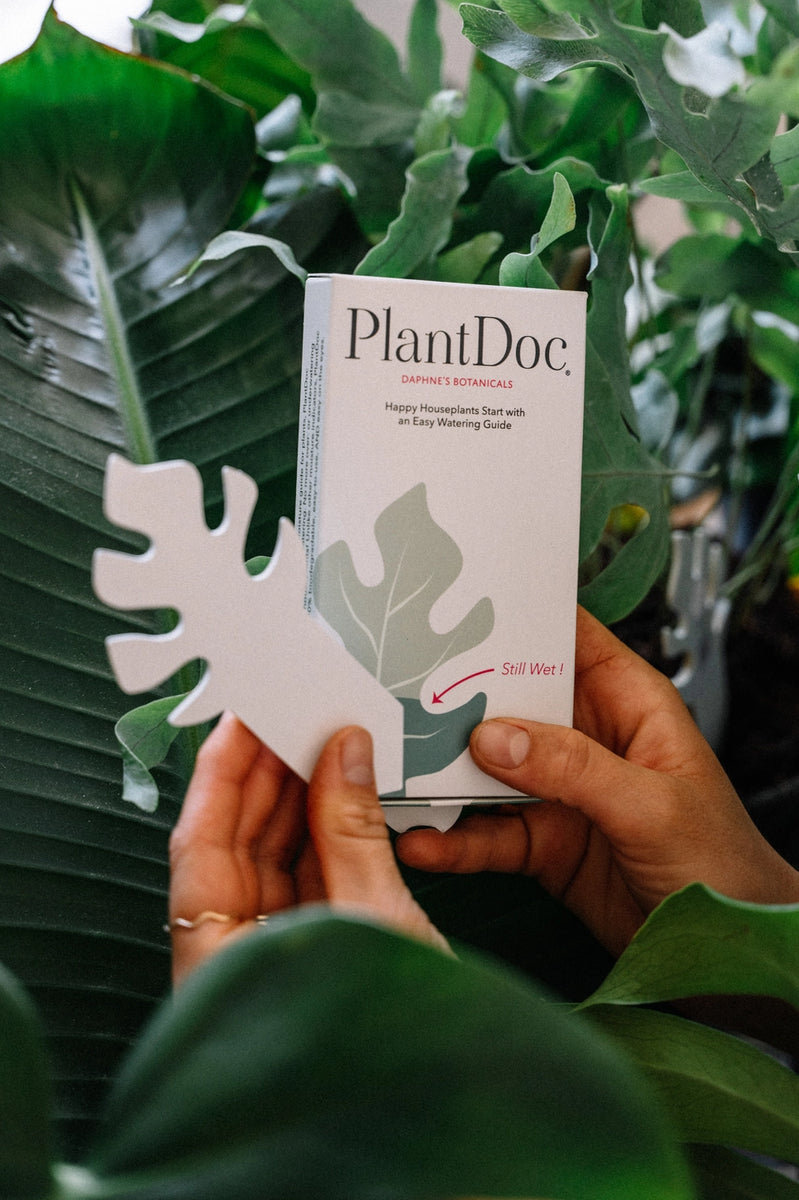 PlantDoc water meter cards – Macrayaymacrame